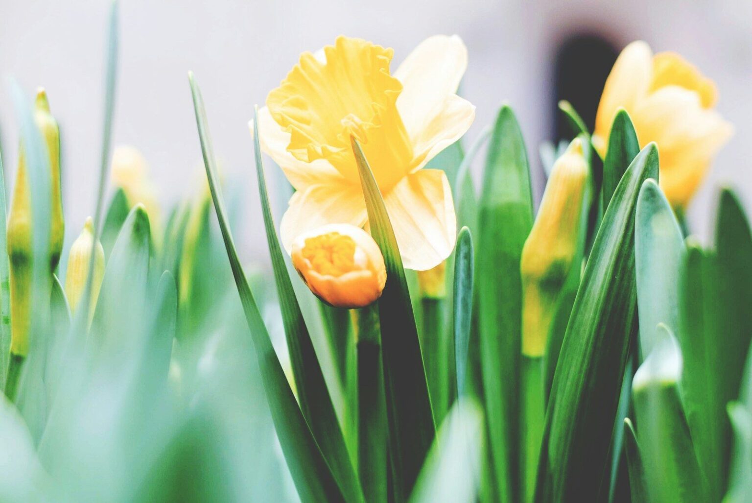 Office Closure Times For The Easter Weekend – Goulden House